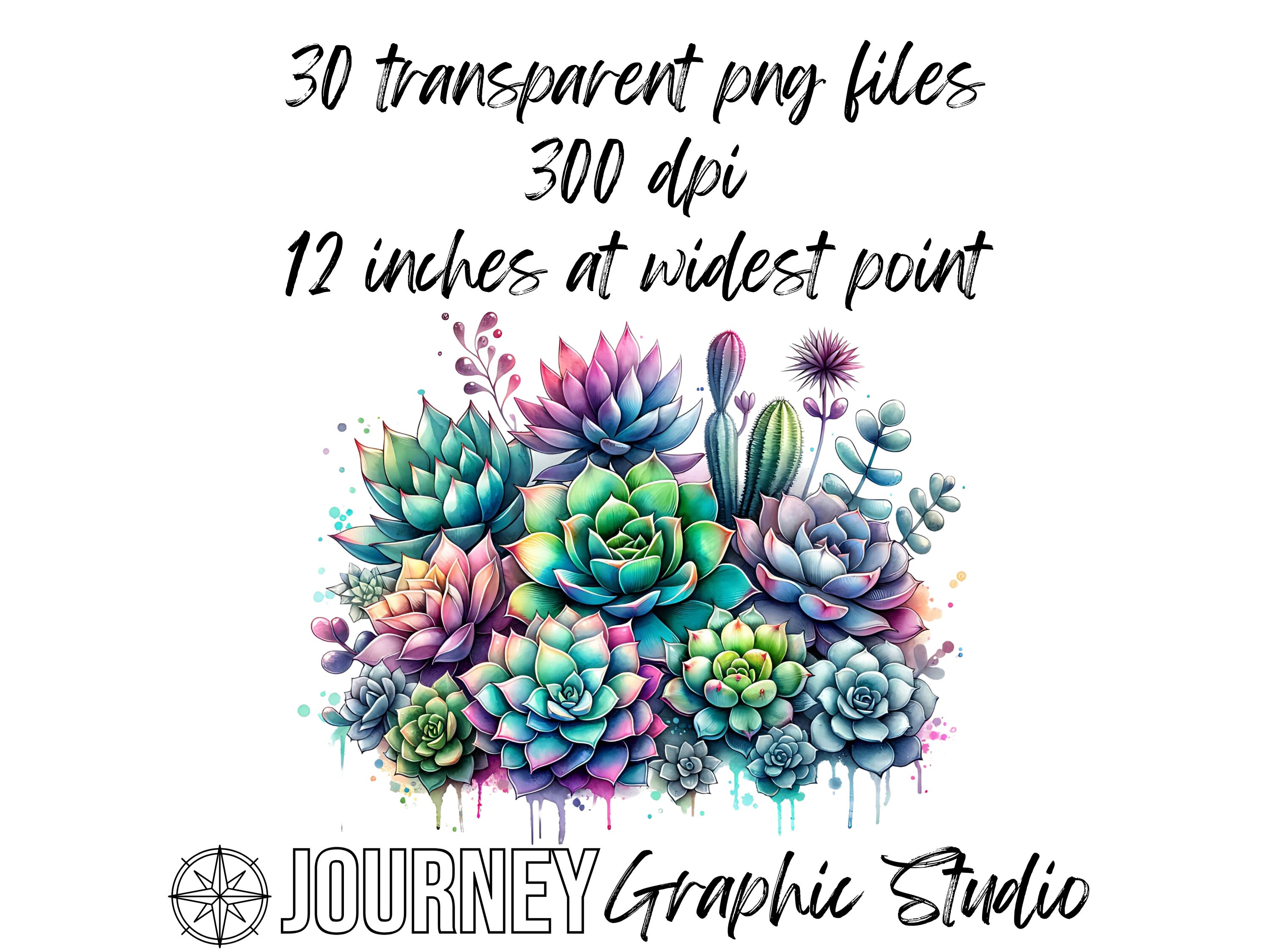 Succulent Clipart Bundle, Watercolor Succulents Clipart Bundle ...