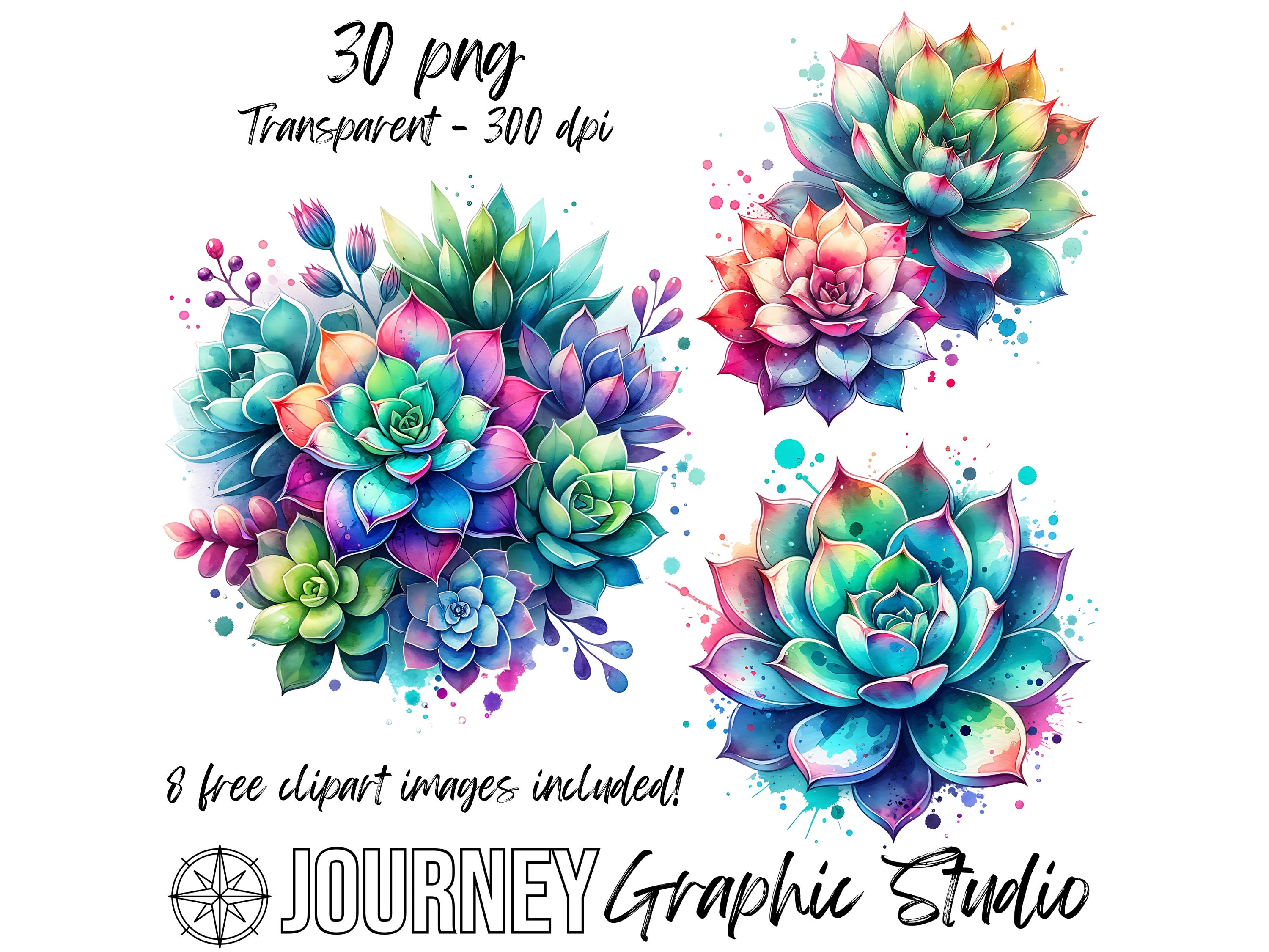 Succulent Clipart Bundle, Watercolor Succulents Clipart Bundle ...