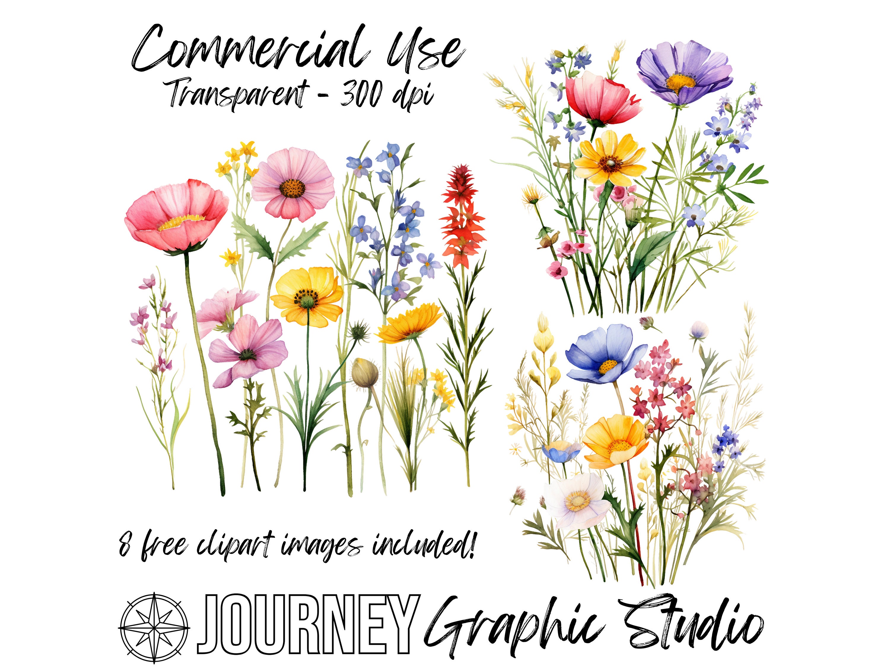 Bold Wildflowers Clipart Bundle Watercolor Clipart Bundle, Floral ...