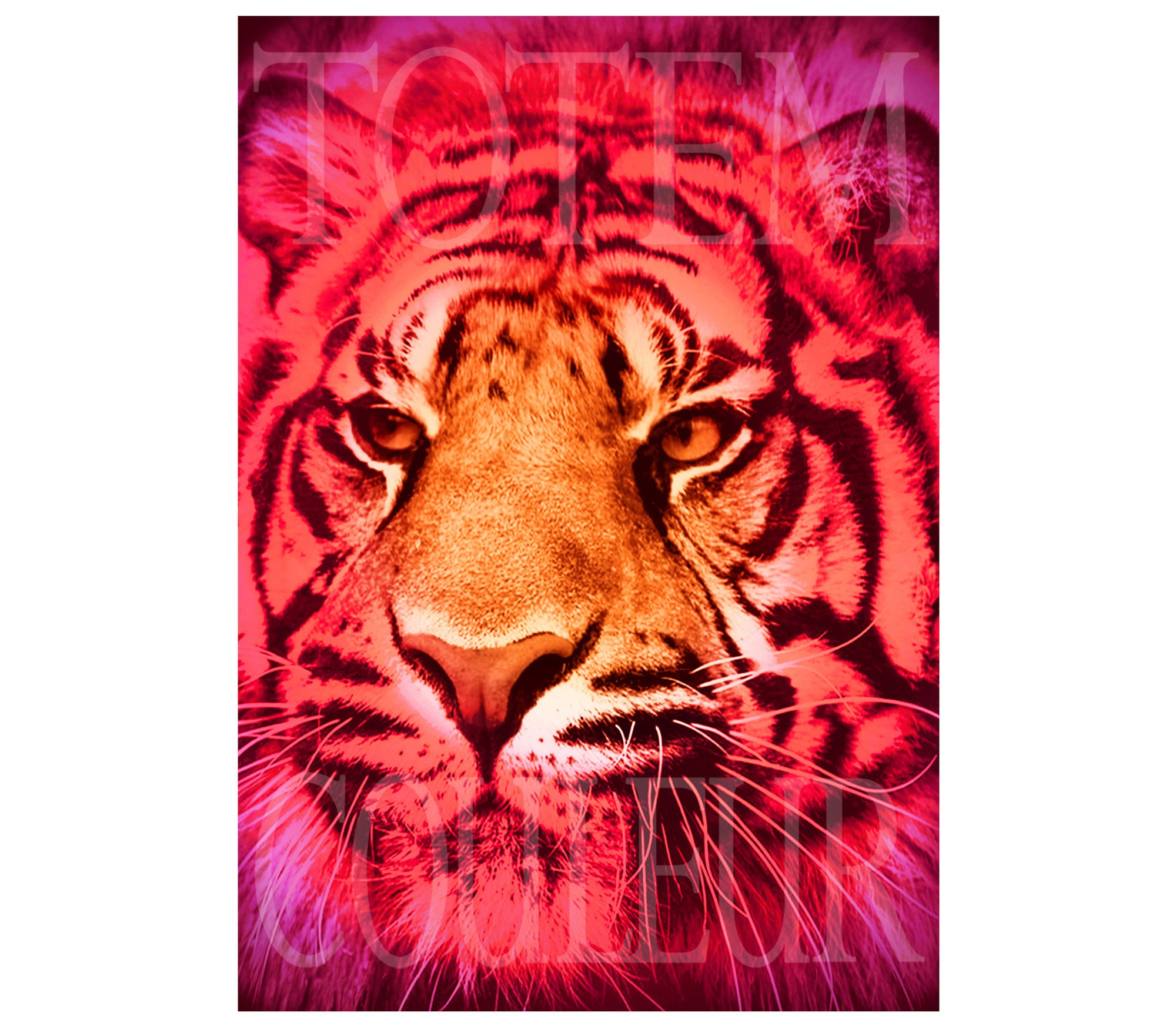 Bright Colors Tiger Head Poster - Etsy