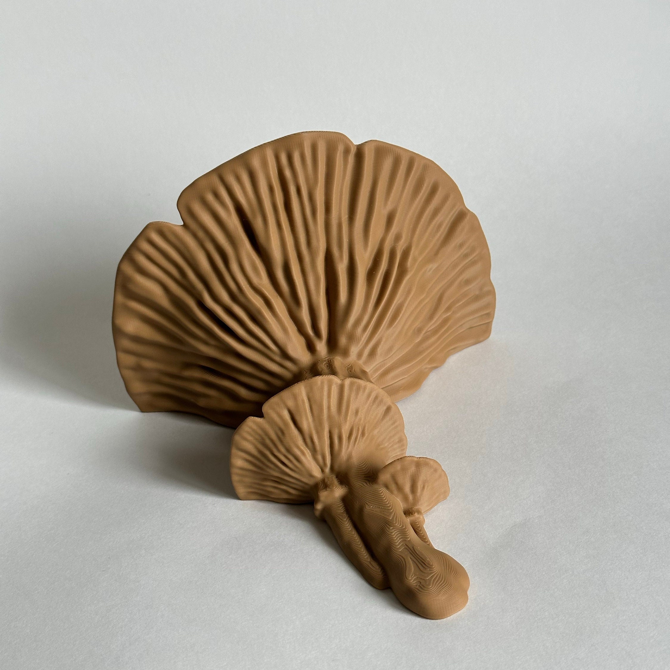 MUSHROOM SHELF the Amanita Large Size Toadstool Accent - Etsy