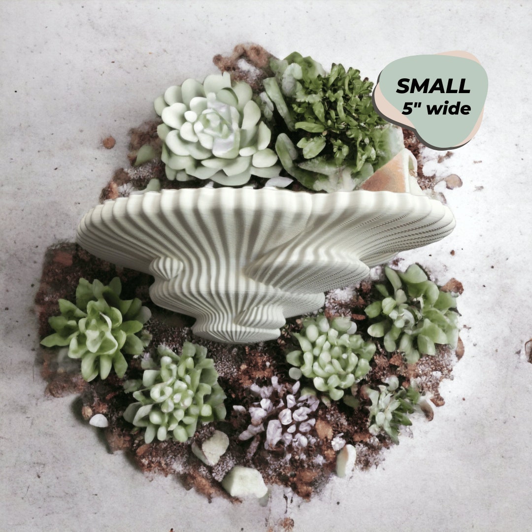 MUSHROOM SHELF | the Tinder | Small Size Toadstool Accent Display, 3D ...
