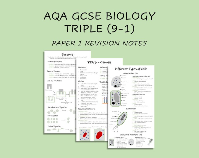GCSE Biology Mindmaps - Etsy