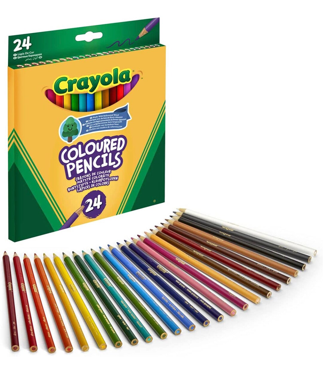 Crayola 24 Coloured Pencils - Etsy