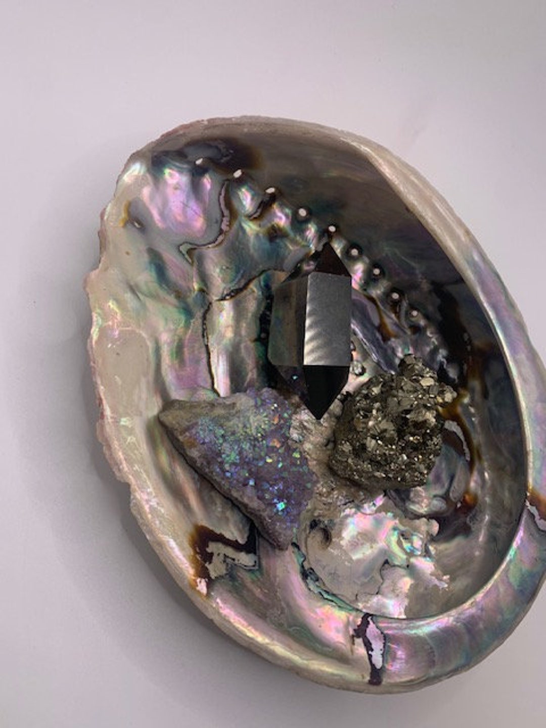 Abalone Shell With Rare Silver DT & Amethyst/pyrite Crystals - Etsy