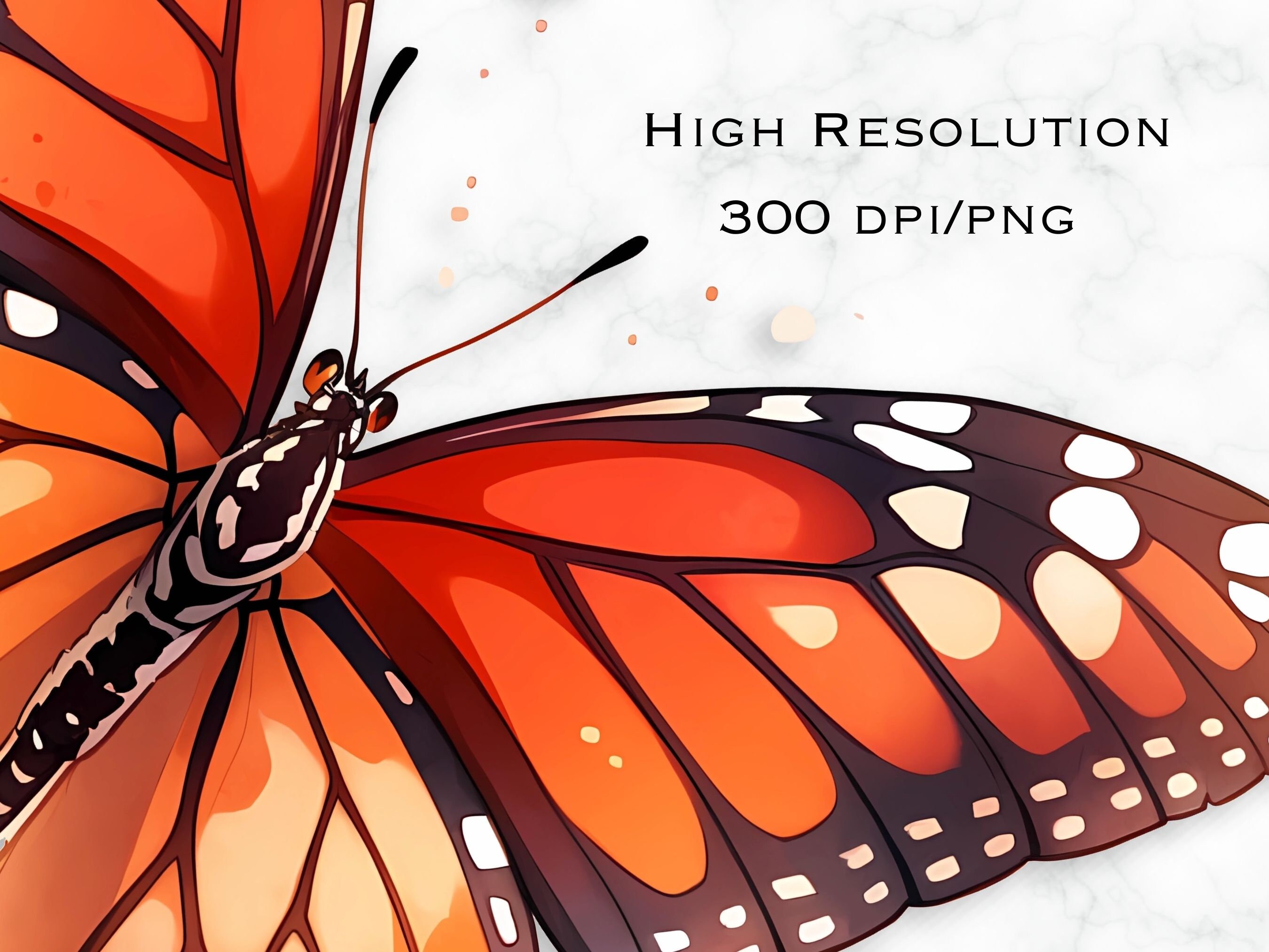 Fall Animals Clipart Turkey Fox Deer Squirrel Hedgehog Autumn Creatures ...