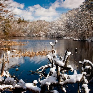Winter Scene, Four Ponds, Pond, Snow, Snow Scene, Cape Cod, Cape Cod in ...