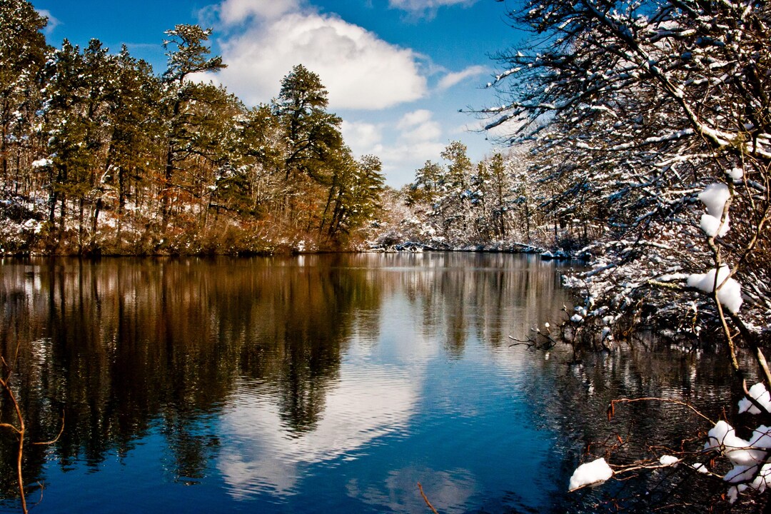 Winter Scene, Four Ponds, Pond, Snow, Snow Scene, Cape Cod, Cape Cod in ...