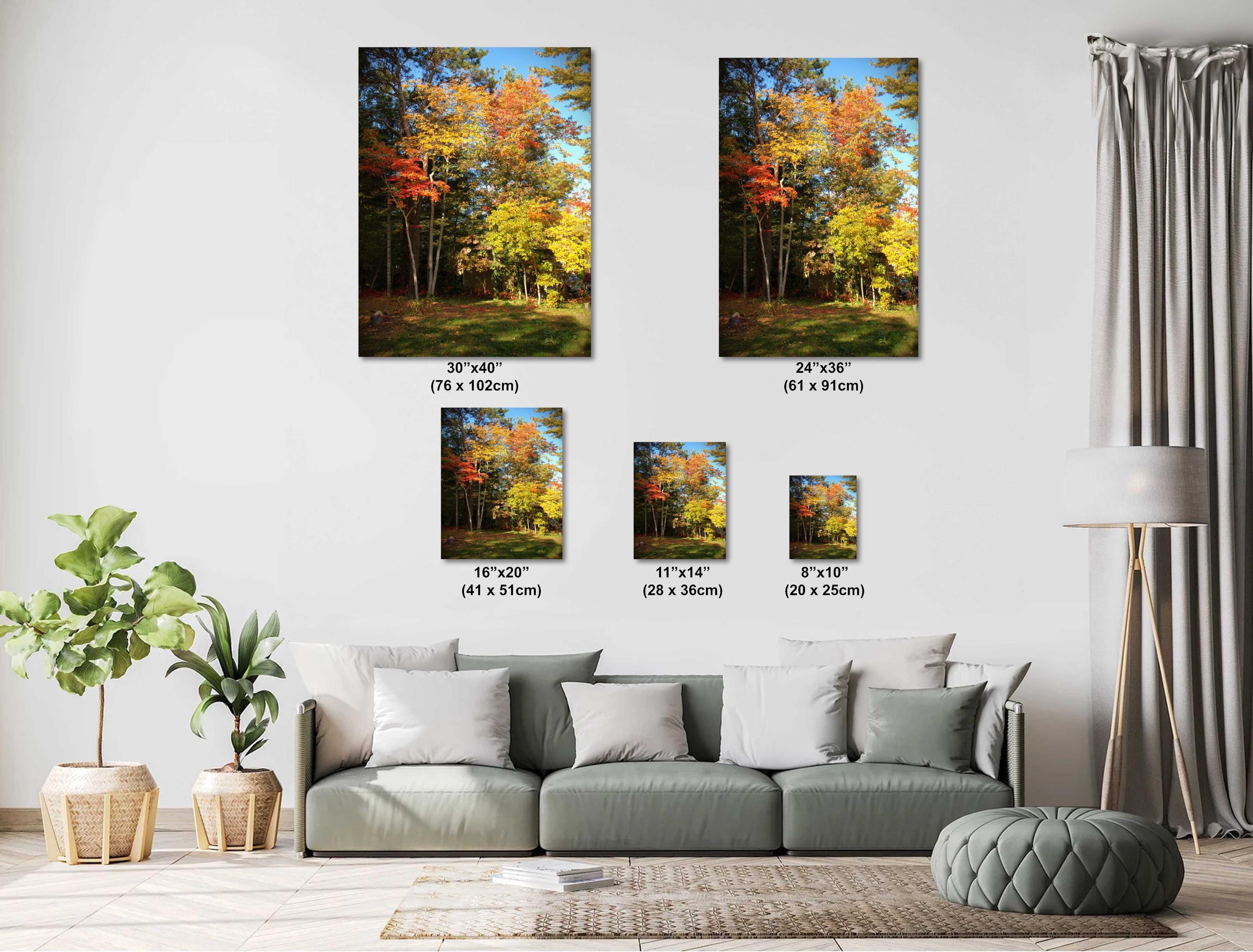 Fall, Fall Scenes, Fall Trees, Cape Cod, Canvas Print, Photography ...