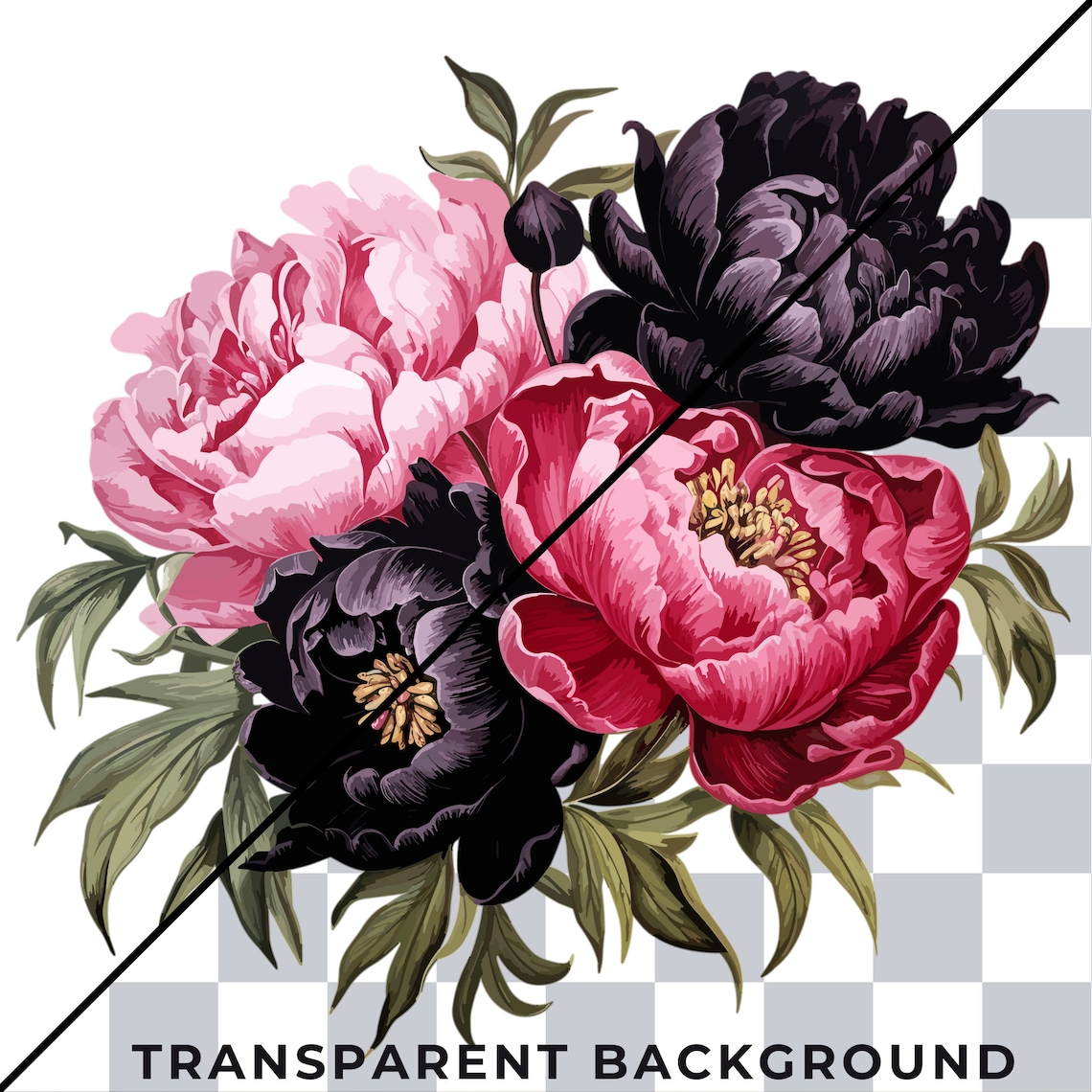 Black Peonies Clipart, Watercolor Flowers PNG & SVG, Peonies Clipart ...