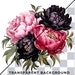 Black Peonies Clipart, Watercolor Flowers PNG & SVG, Peonies Clipart ...