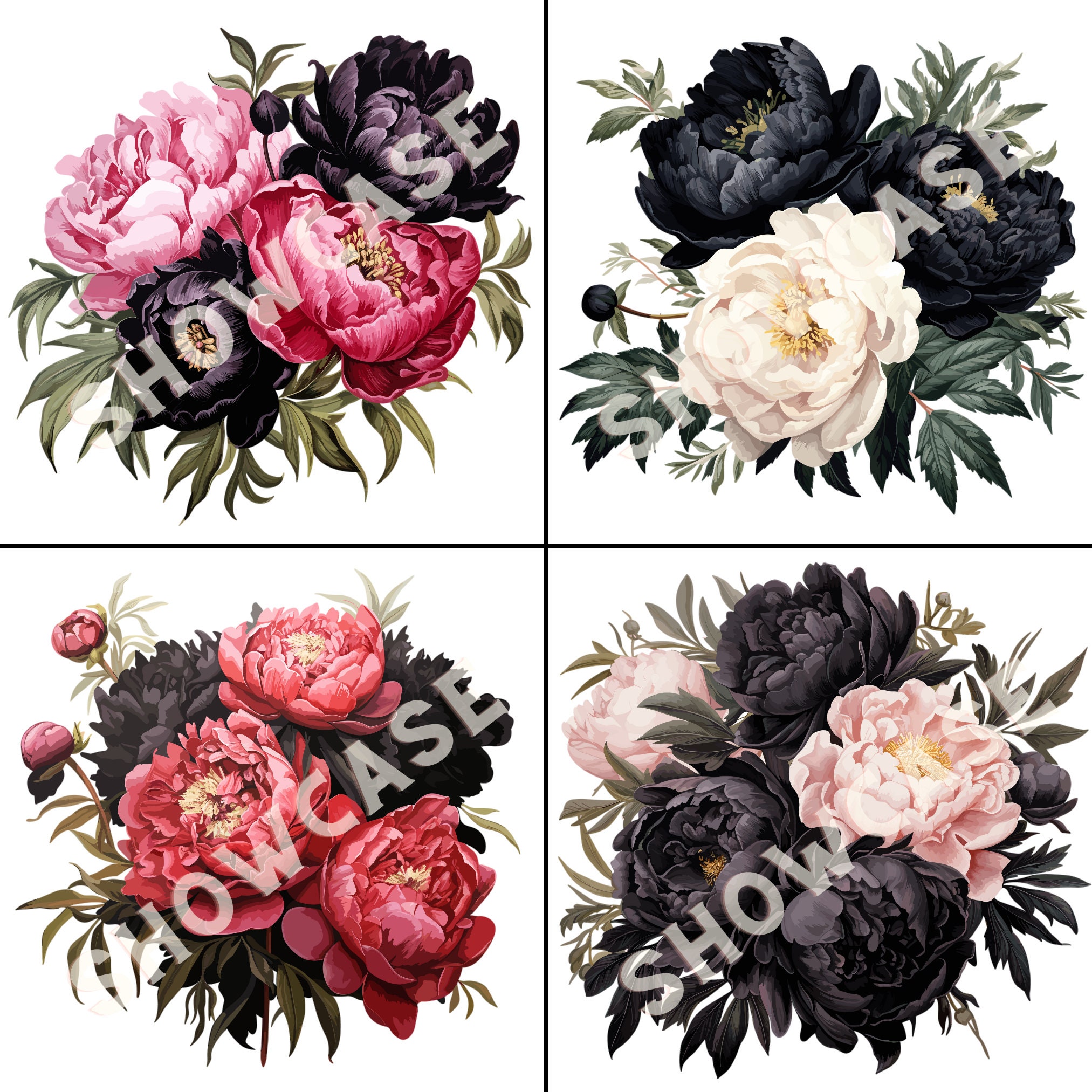 Black Peonies Clipart, Watercolor Flowers PNG & SVG, Peonies Clipart ...