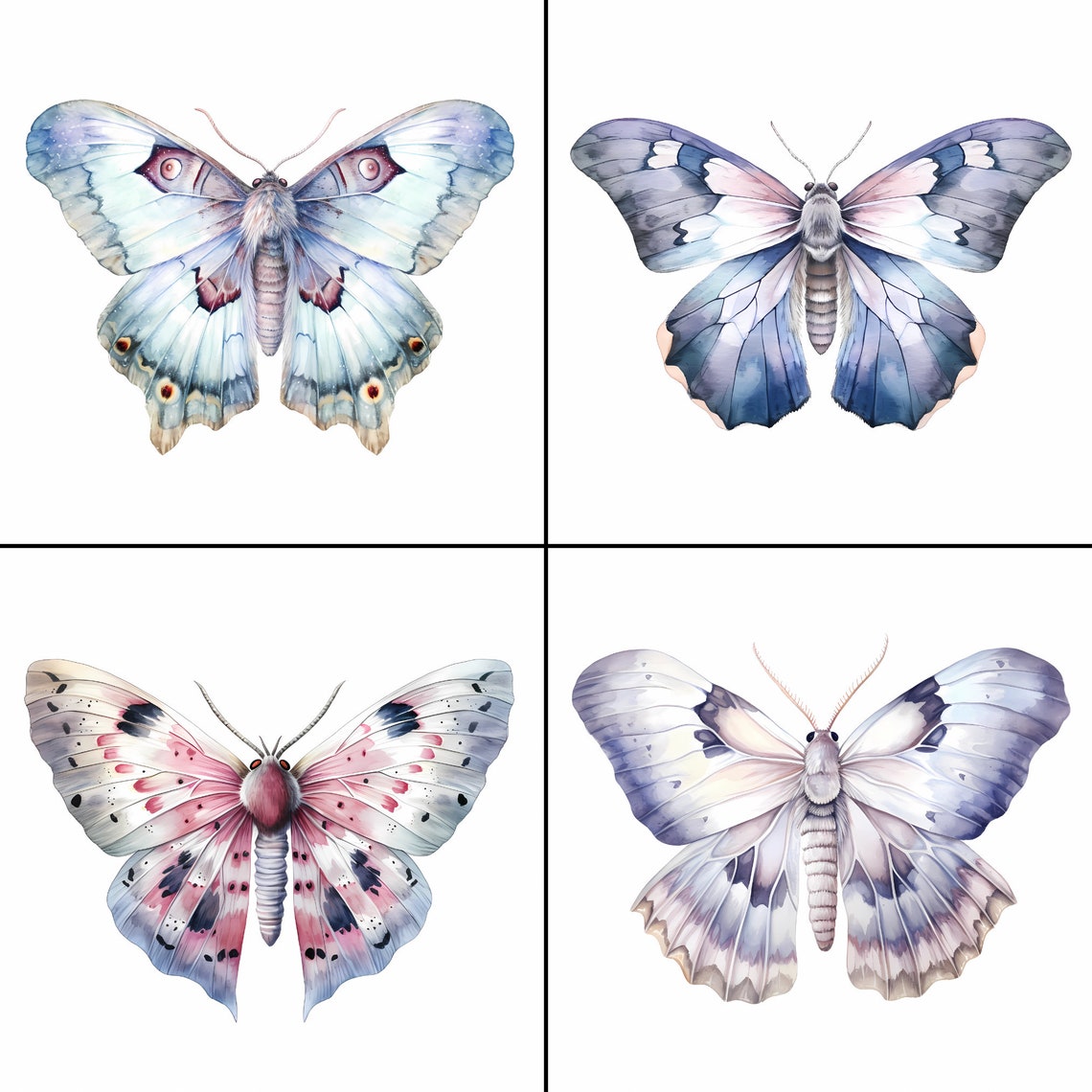 20 Moths PNG & SVG, Watercolor Moth Clipart, Mystical Clipart ...