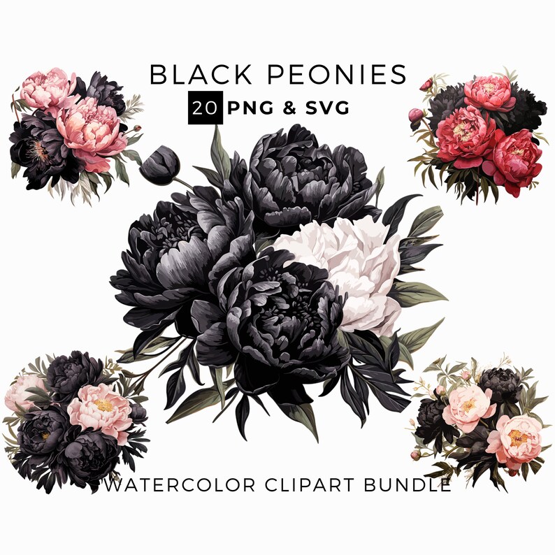 Black Peonies Clipart, Watercolor Flowers PNG & SVG, Peonies Clipart ...