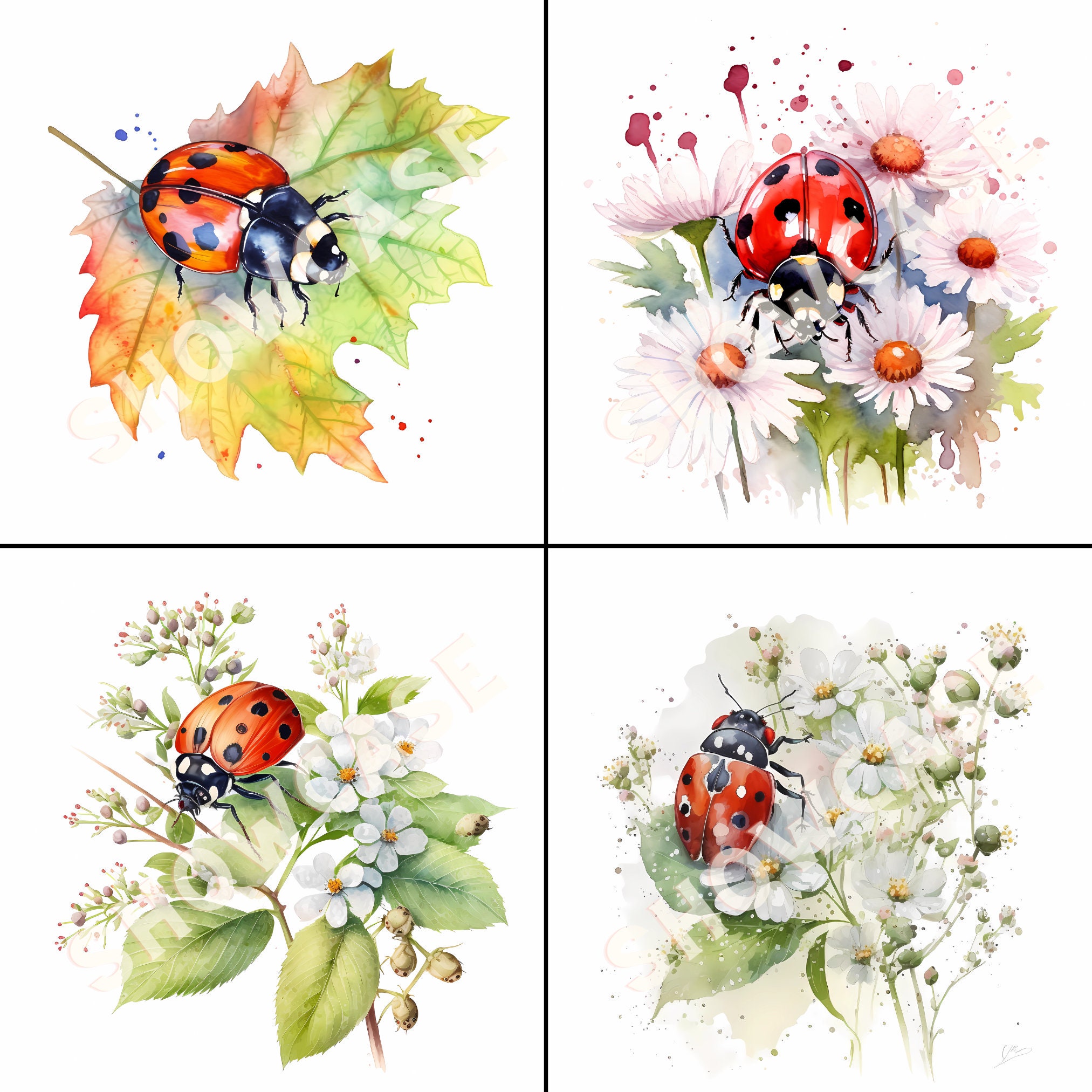 34 Floral Ladybug Watercolor Clipart PNG & SVG, Nursery Art, Paper ...