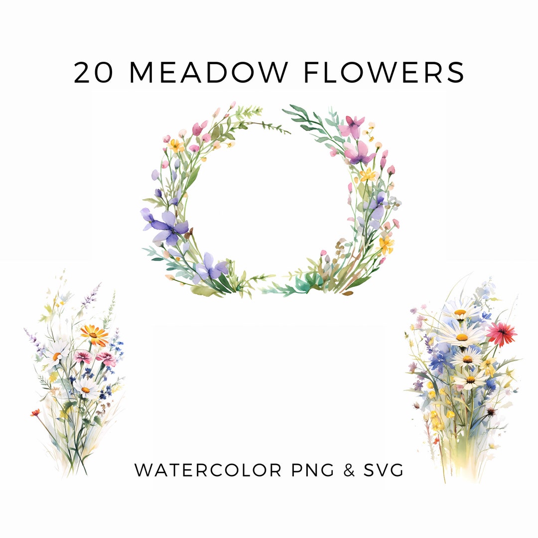 20 Meadow Flower Watercolor Clipart PNG & SVG, Botanical Wild Floral ...