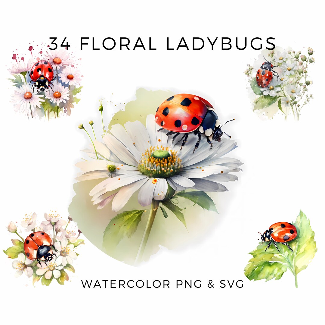 34 Floral Ladybug Watercolor Clipart PNG & SVG, Nursery Art, Paper ...