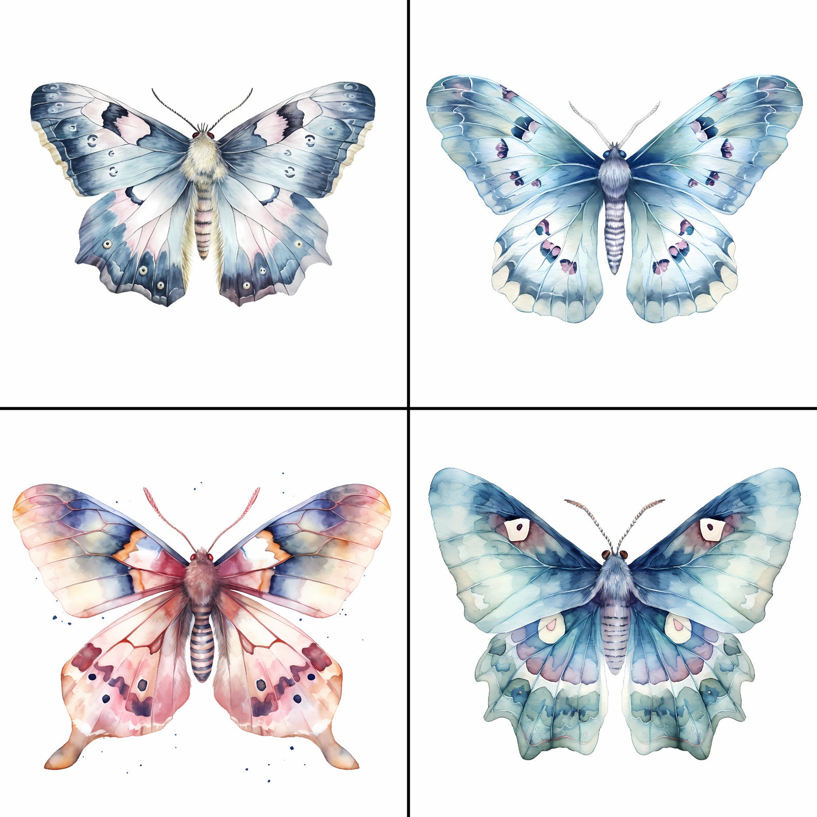 20 Moths PNG & SVG, Watercolor Moth Clipart, Mystical Clipart ...