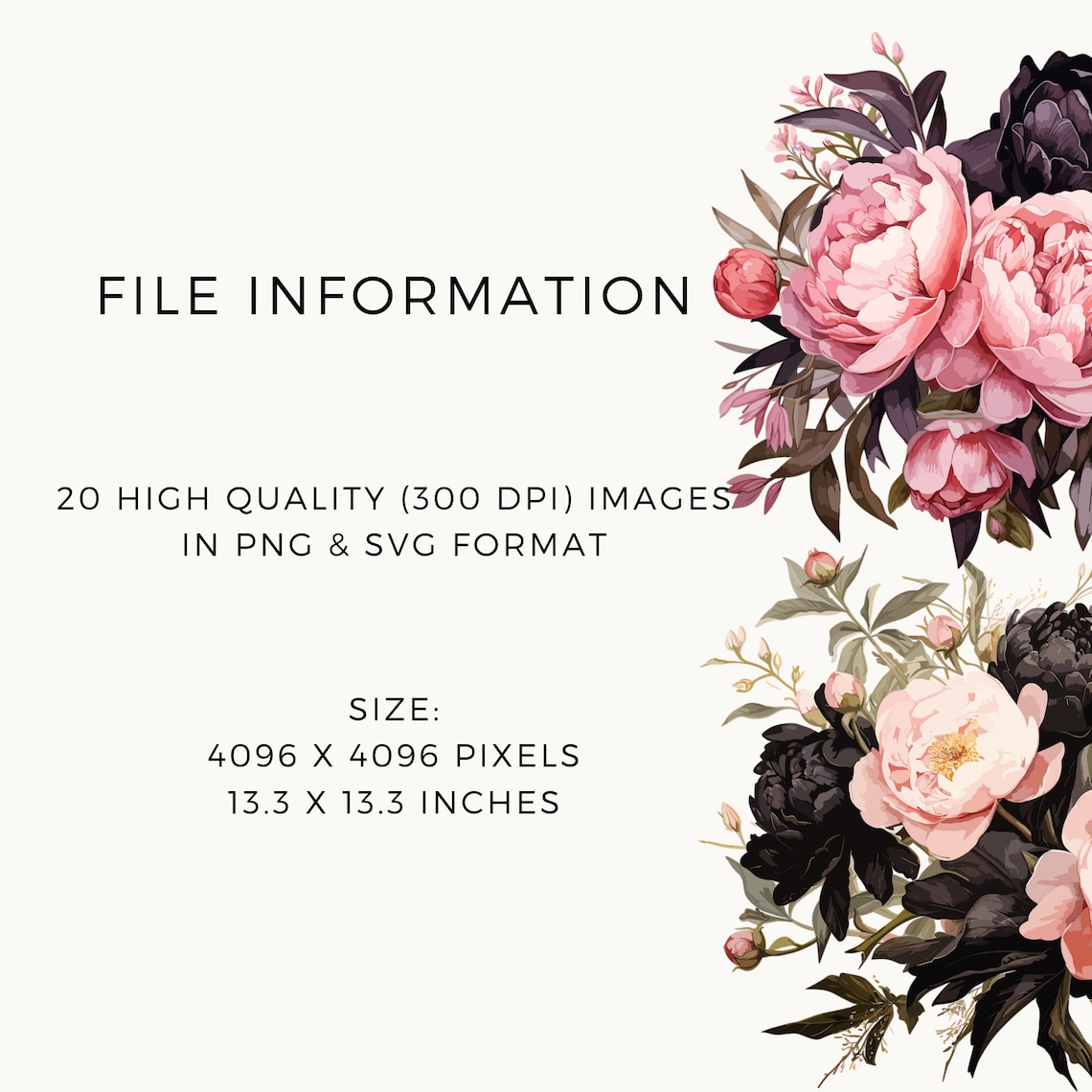 Black Peonies Clipart, Watercolor Flowers PNG & SVG, Peonies Clipart ...
