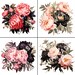 Black Peonies Clipart, Watercolor Flowers PNG & SVG, Peonies Clipart ...