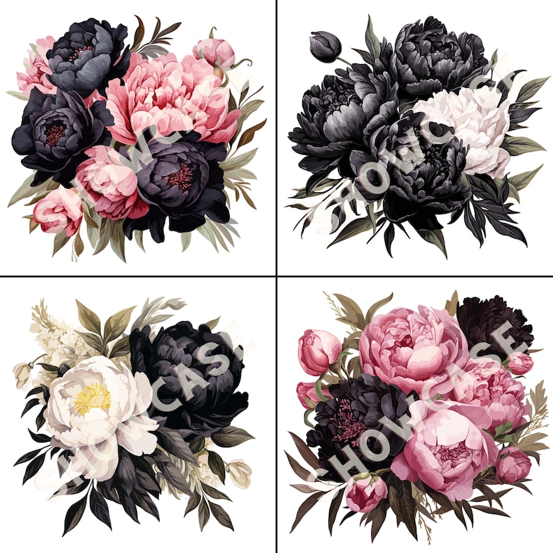 Black Peonies Clipart, Watercolor Flowers PNG & SVG, Peonies Clipart ...