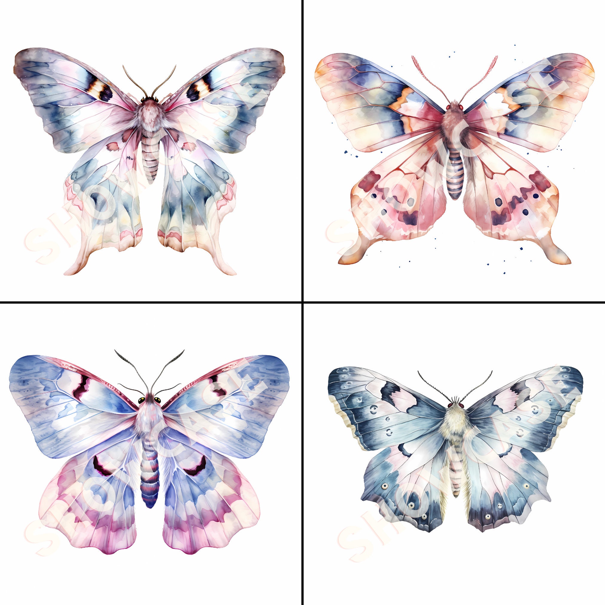 80 PNG & SVG Clipart Animals, Spring Floral, Digital Floral Bundle ...