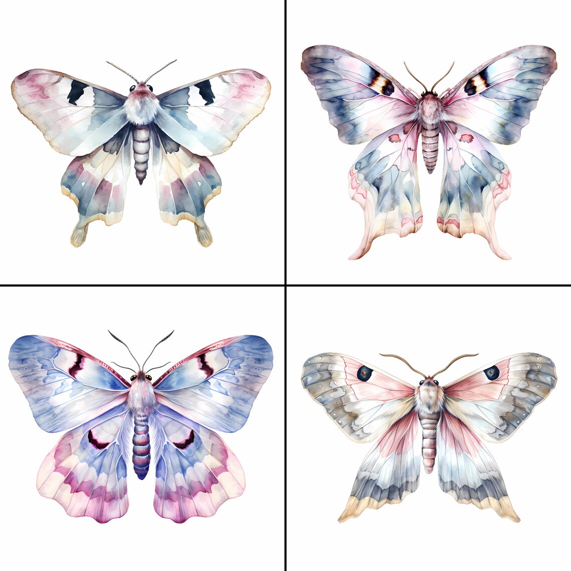 20 Moths PNG & SVG, Watercolor Moth Clipart, Mystical Clipart ...