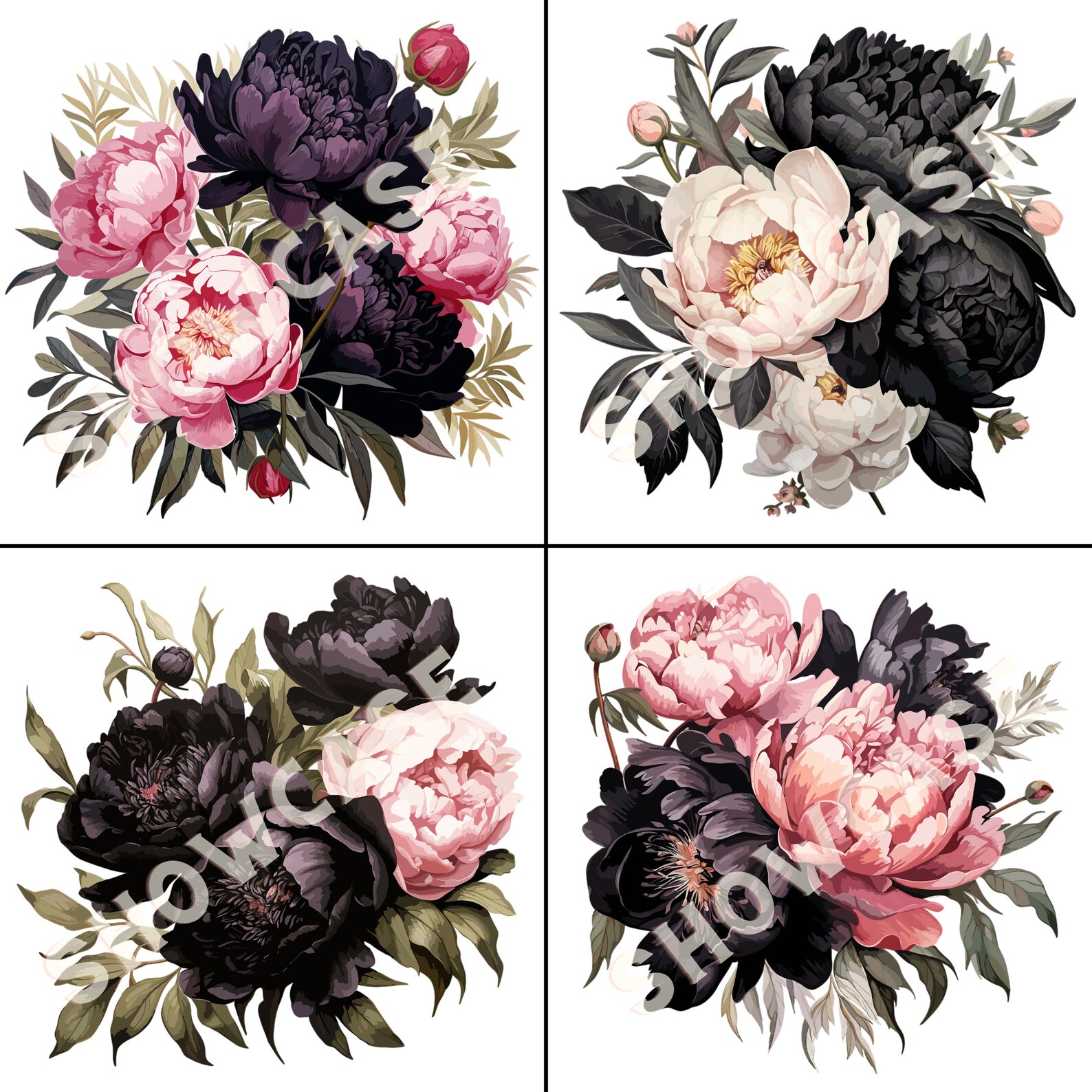 Black Peonies Clipart, Watercolor Flowers PNG & SVG, Peonies Clipart ...