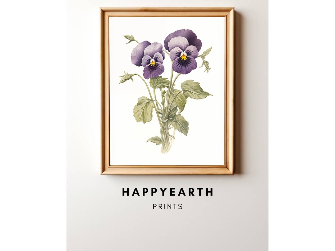 Pansy Flower Botanical Drawing Digital Print - Spring Decor Floral ...