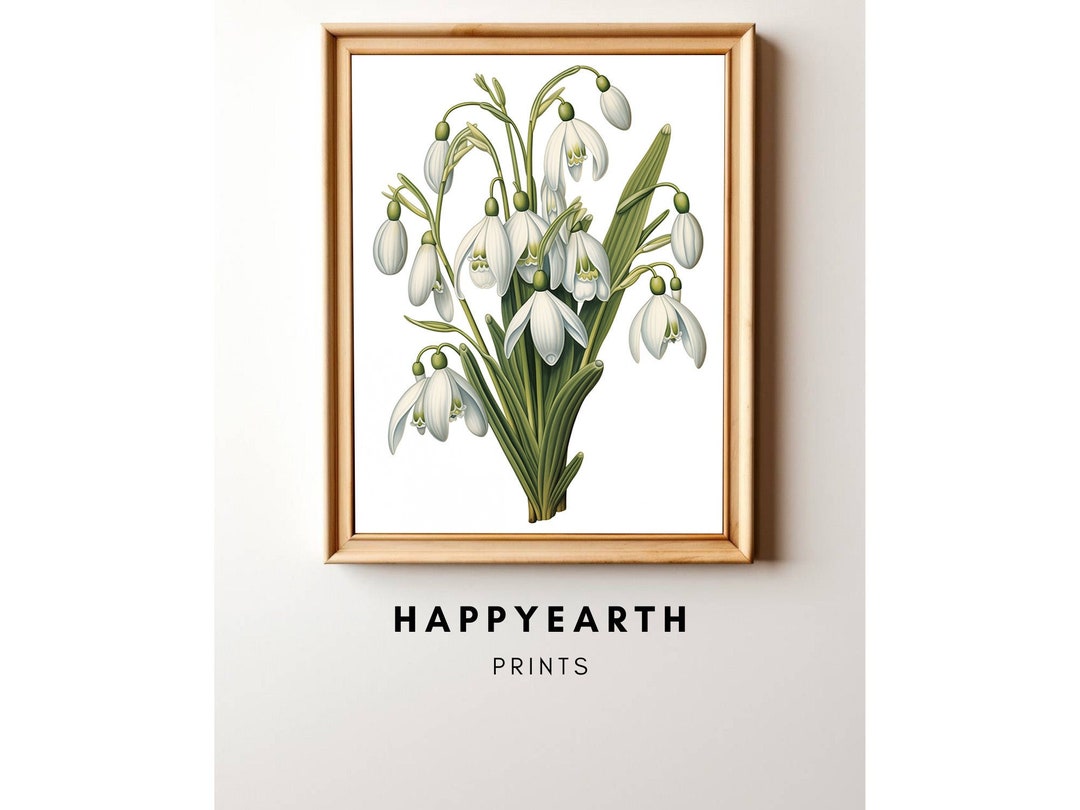 Snowdrops Botanical Print: Spring Floral Drawing (digital Download) - Etsy