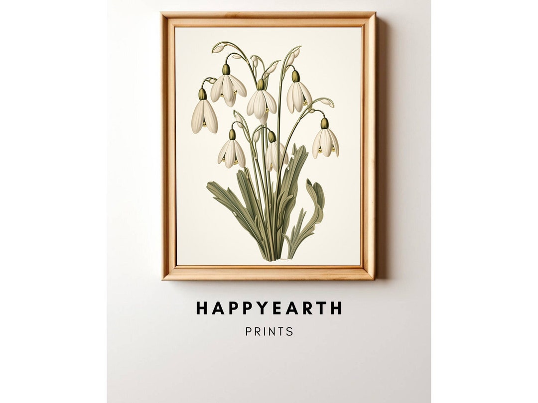 Snowdrops Botanical Drawing Digital Print - Spring Flowers Floral ...