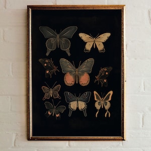 Victorian Gothic Moth Print: Dark Botanical Illustration (digital ...