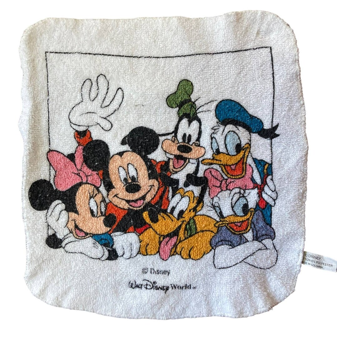Walt Disney World Mickey and Friends Washcloth - Etsy