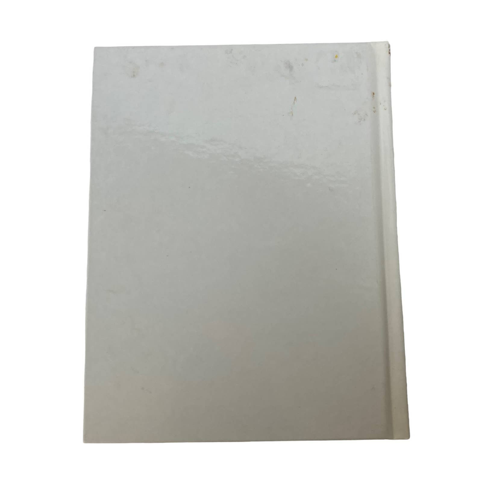 Disney's Millennium Year Book 2000 - Etsy