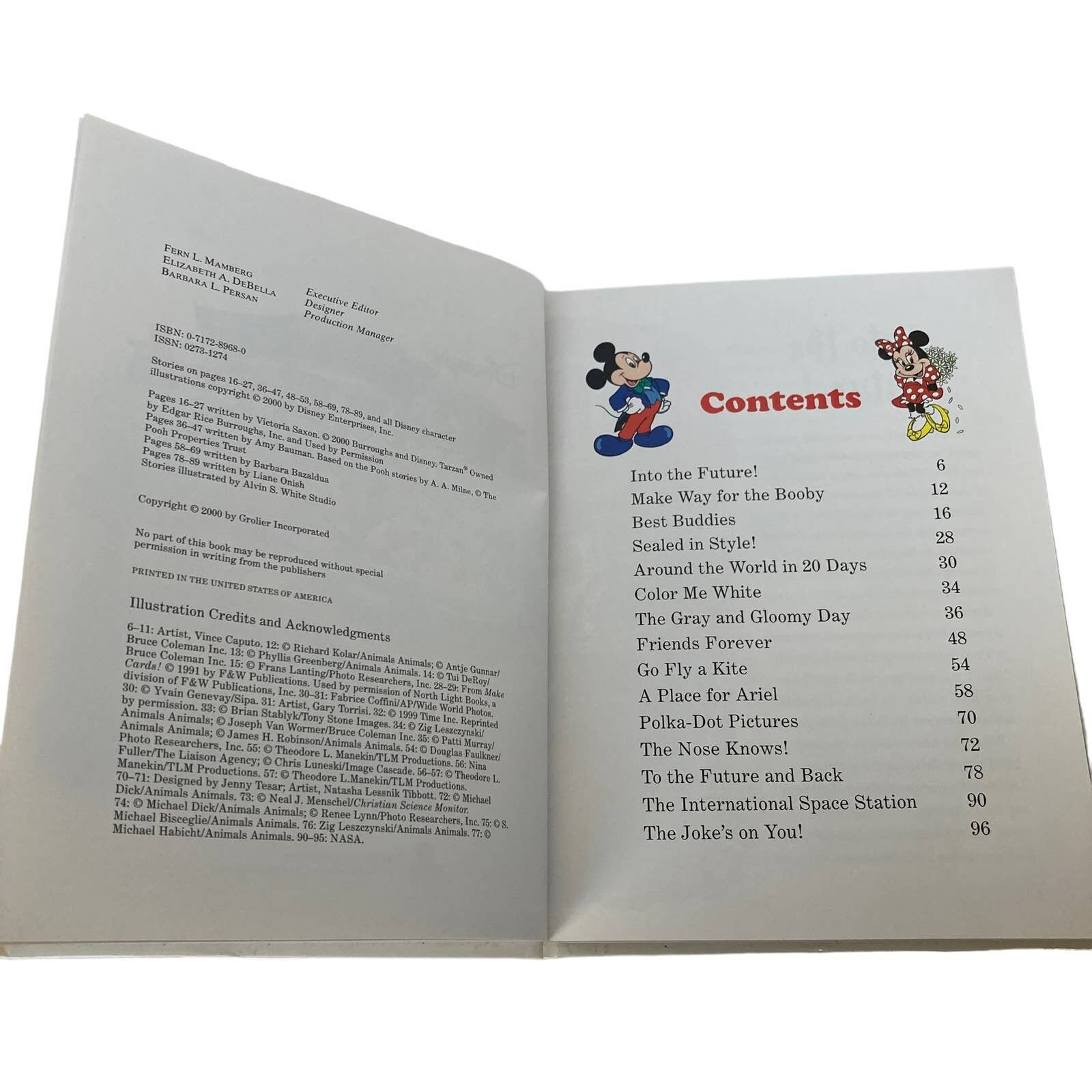 Disney's Millennium Year Book 2000 - Etsy