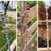 Decorative Garden Stake - Etsy
