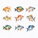 Watercolor Freshwater Fish Png - Fishing Png, Fish Illustration ...