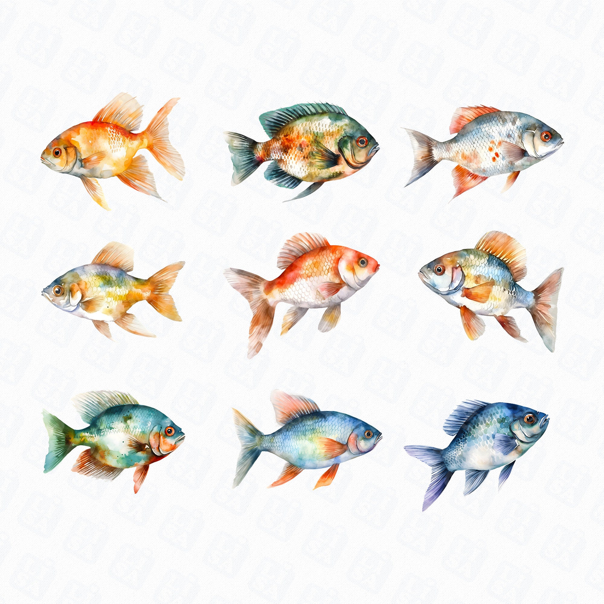 Watercolor Freshwater Fish Png Fishing Png Fish - Etsy