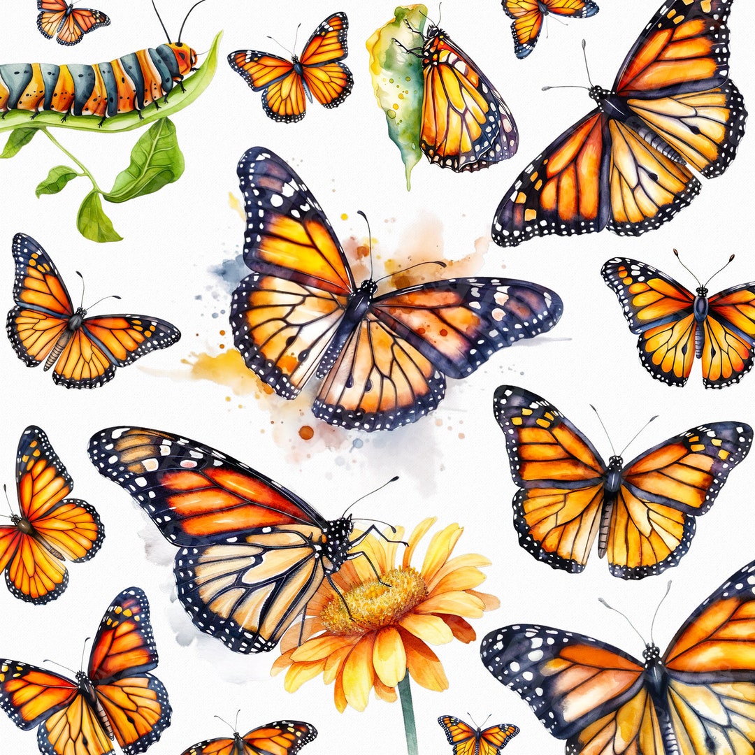 Colorful Watercolor Monarch Butterfly PNG: Instant Download Clipart - Etsy