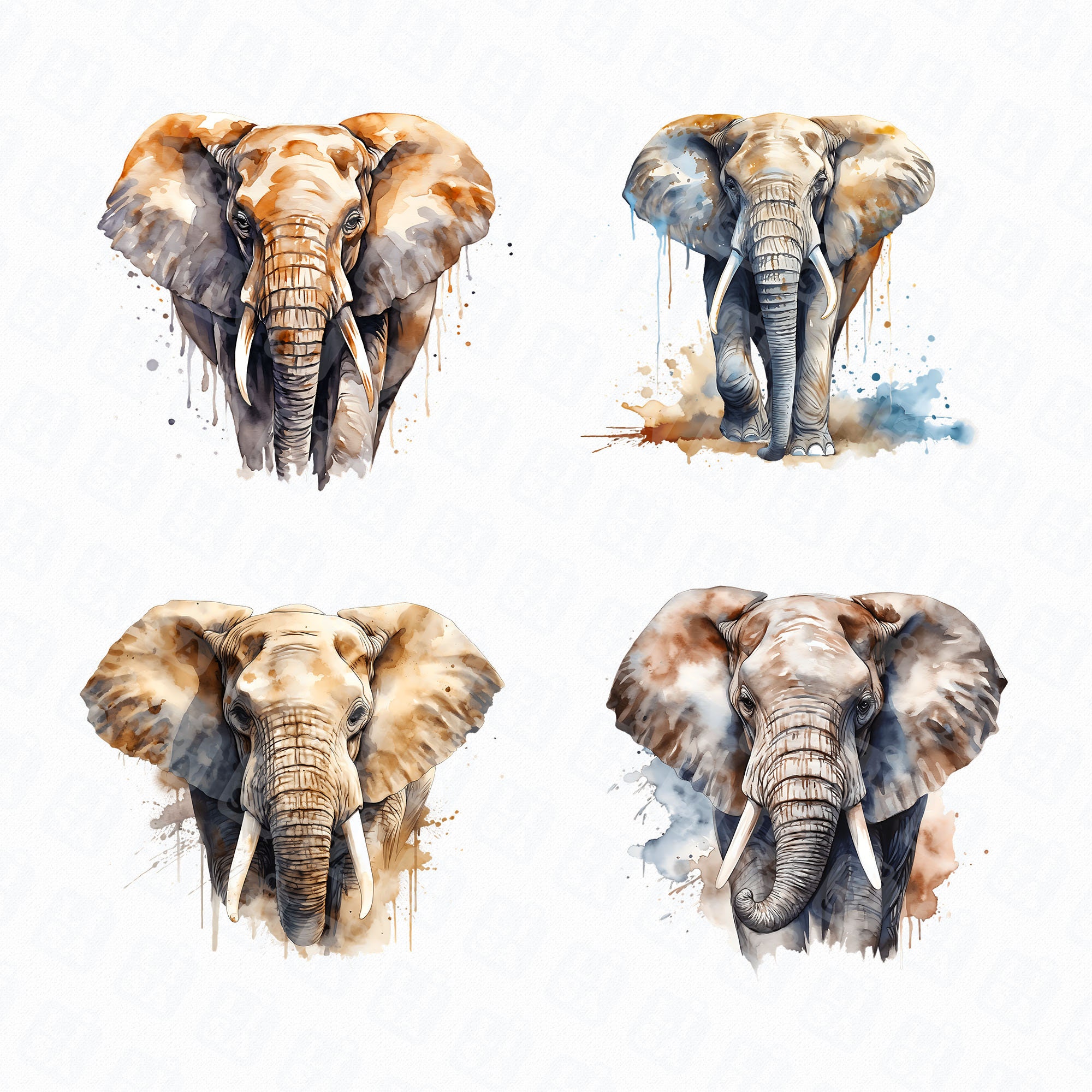 Watercolor Elephant Clipart African Animal Elephant Print - Etsy