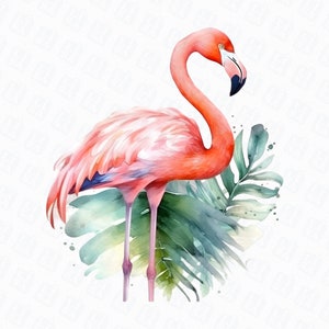 41 Watercolor Flamingo Png Craft Making Clipart - Tropical Birds Images ...