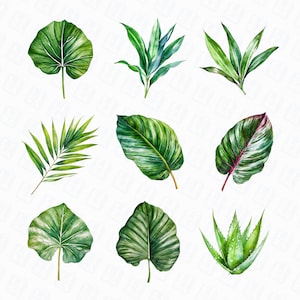 Watercolor Tropical Leaves Clipart - Tropical Clipart - Jungle Leaves ...