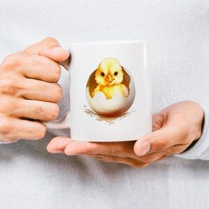 Chick in Egg PNG - Baby Chicken Clipart for Crafting and Sublimation - Etsy