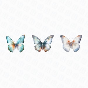 21 Pastel Butterfly Png - Watercolor Butterflies Clipart Graphics in ...