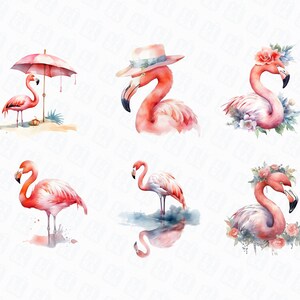 41 Watercolor Flamingo Png Craft Making Clipart - Tropical Birds Images ...