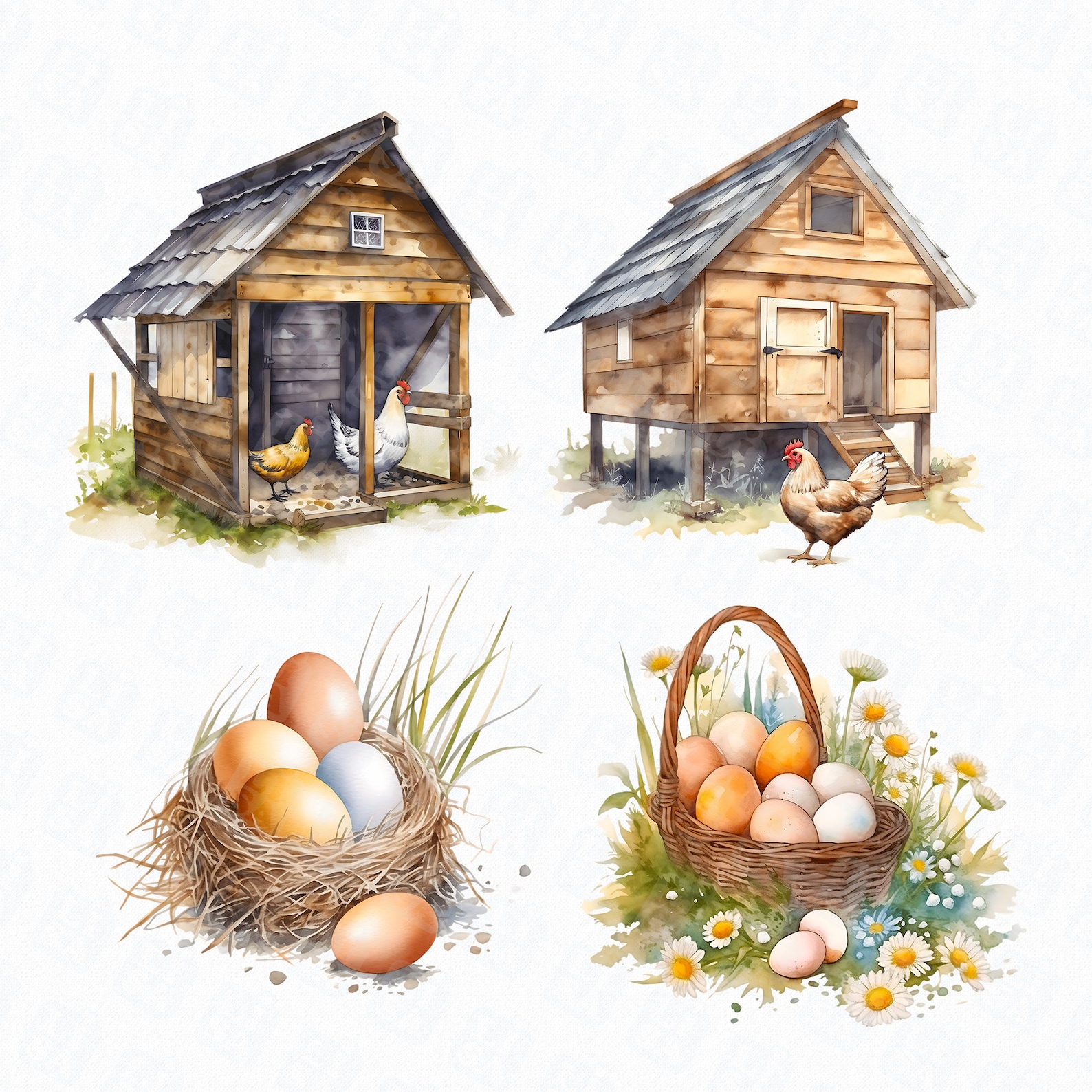 Watercolor Chicken Farm Png Rooster Clipart Farm Animals - Etsy