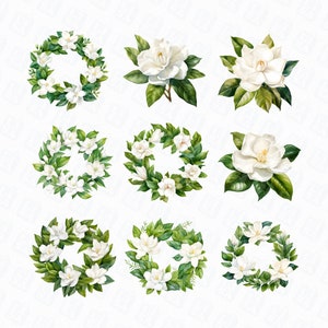 Watercolor Gardenia Png - White Flower Clipart, Gardenia Flower Png ...