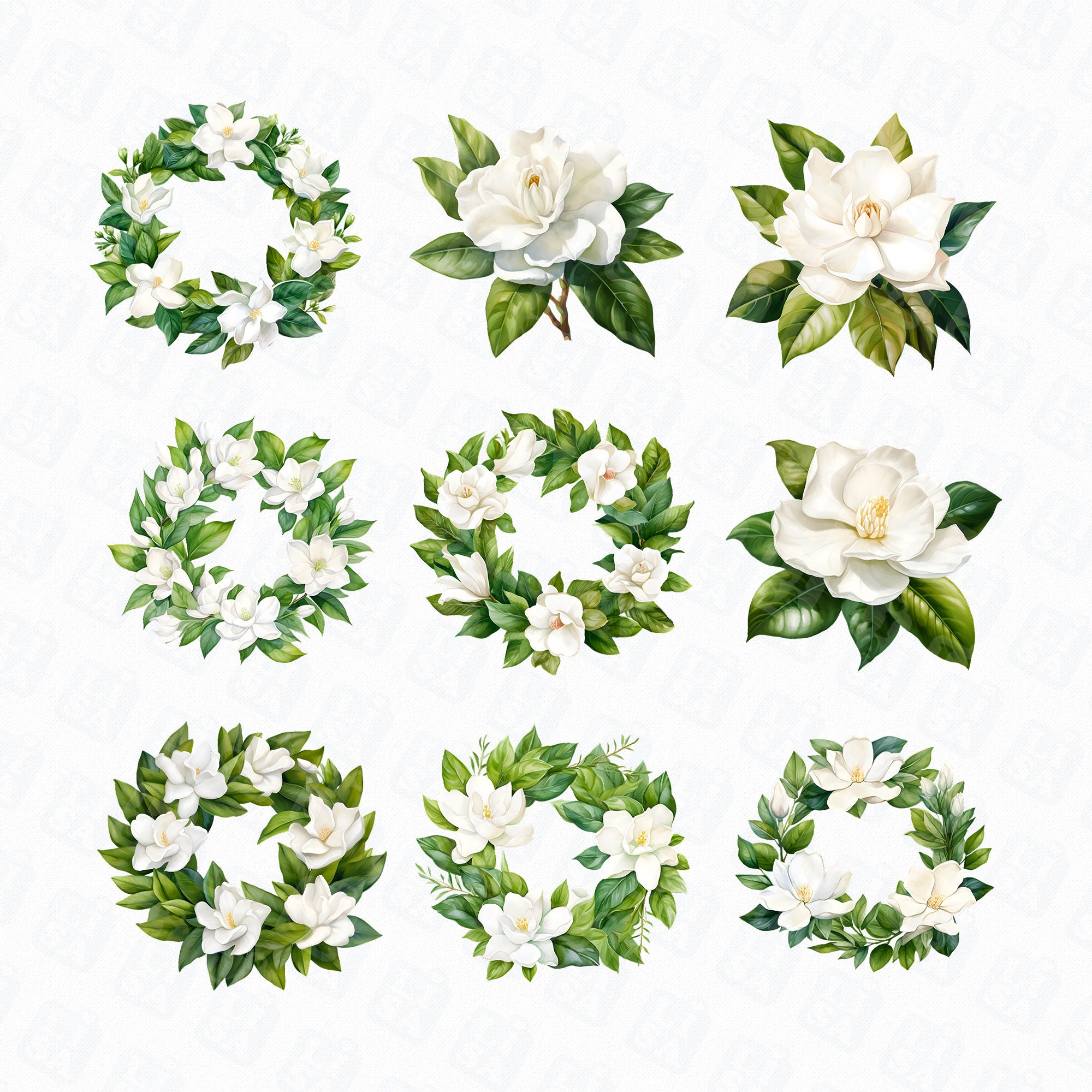 Watercolor Gardenia Png White Flower Clipart Gardenia - Etsy