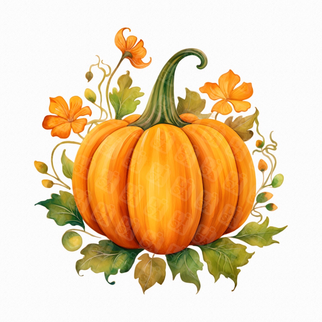 Watercolor Floral Pumpkin Png - Autumn Png - Wall Art, Sublimation ...