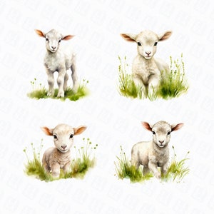 Cute Lamb Clipart Collection - Cute Sheep Clip Art - Farmhouse Images ...